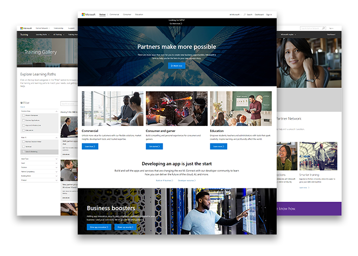 Microsoft Partner Network